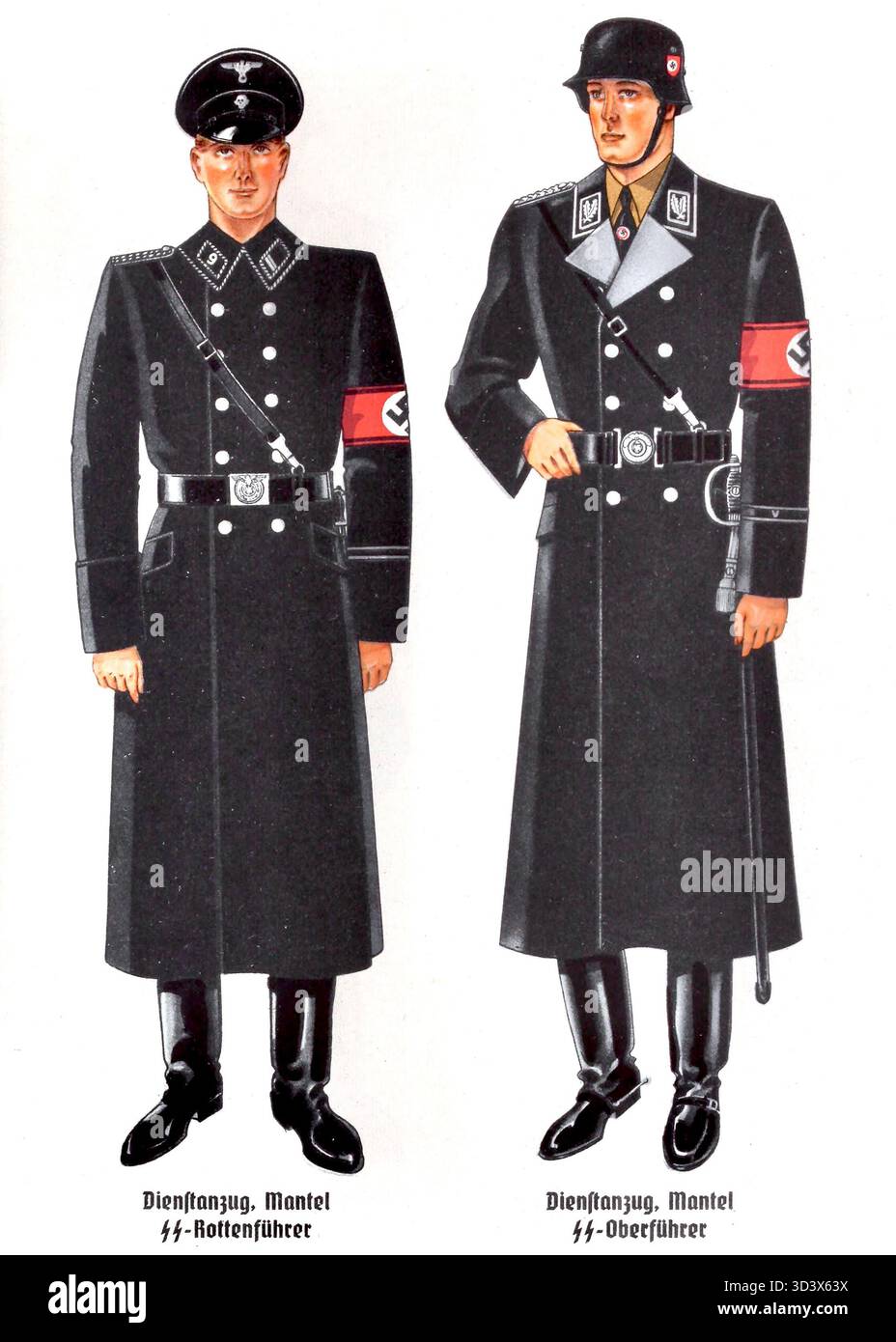 Color plate from the 1943 Organisationsbuch der NSDAP showing SS ...