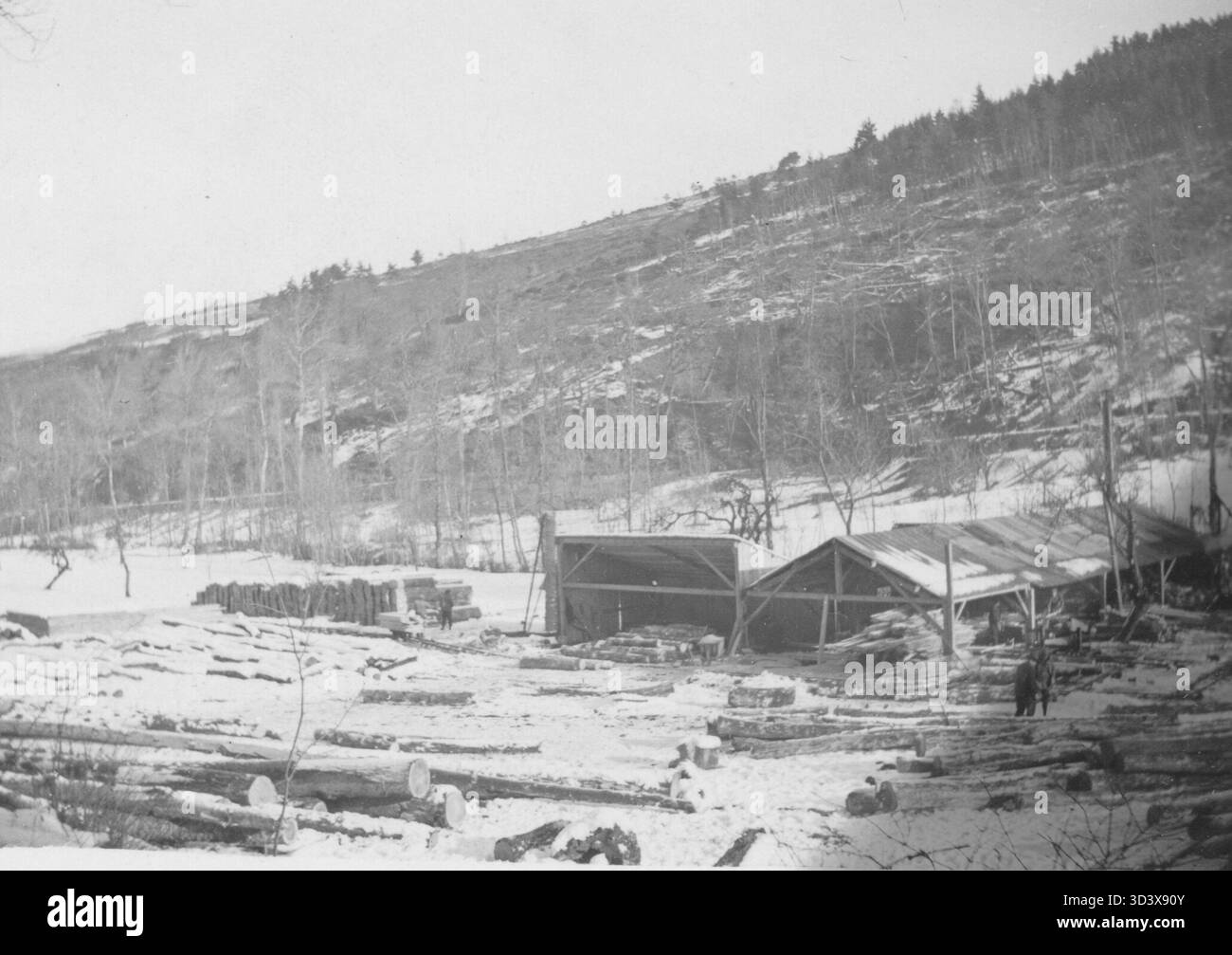 A photo of a sawmill located near the Château de Roquedols, taken ...