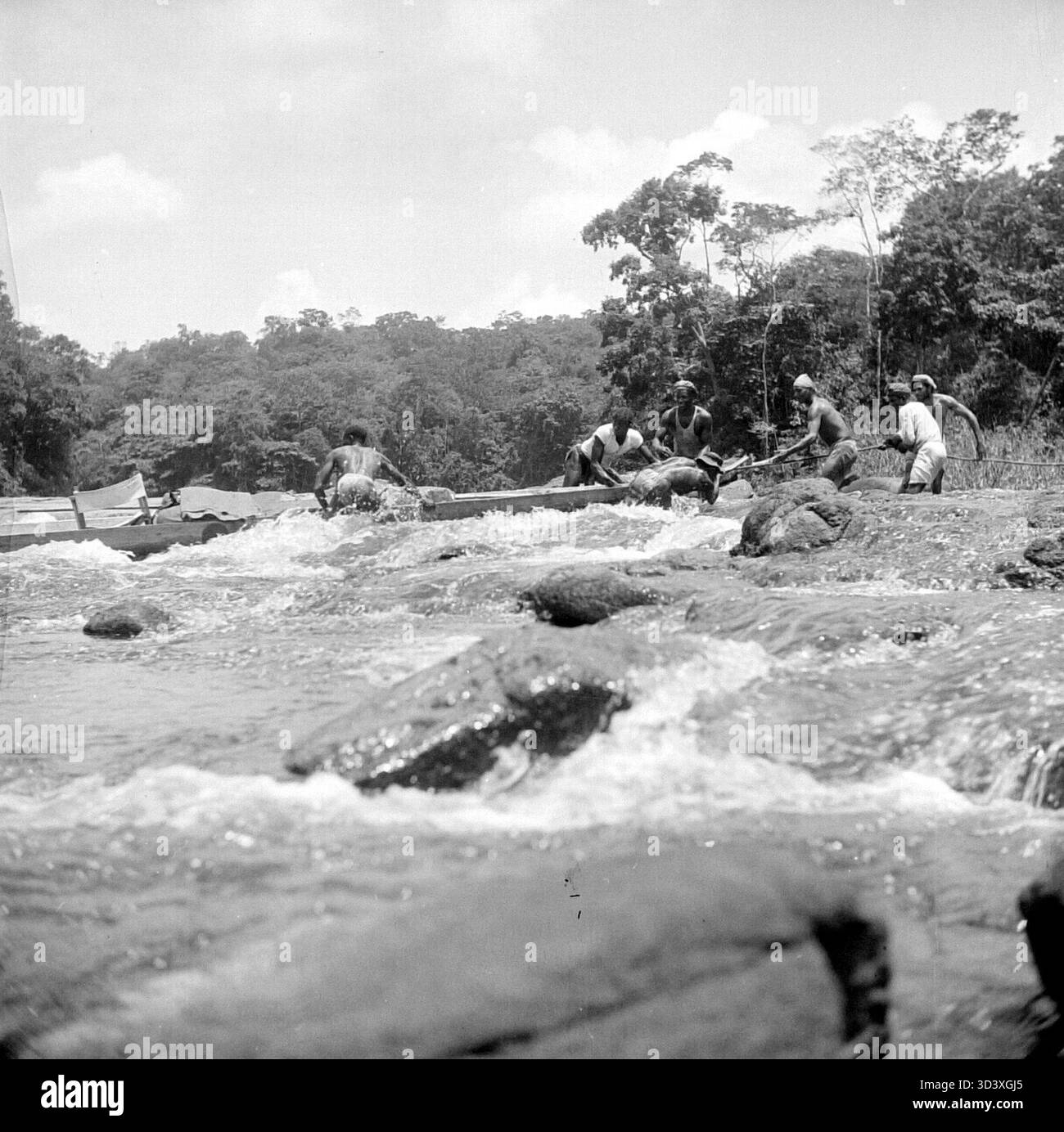 A photograph from between 1936 and 1937, showing a trap used in the ...