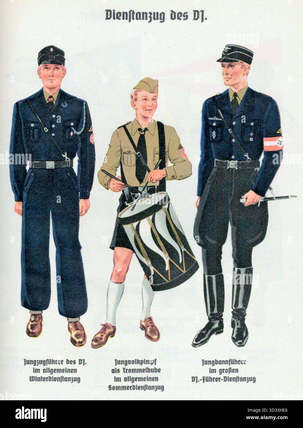 This image from the 1938 *Organisationsbuch der NSDAP* (Nazi Party ...