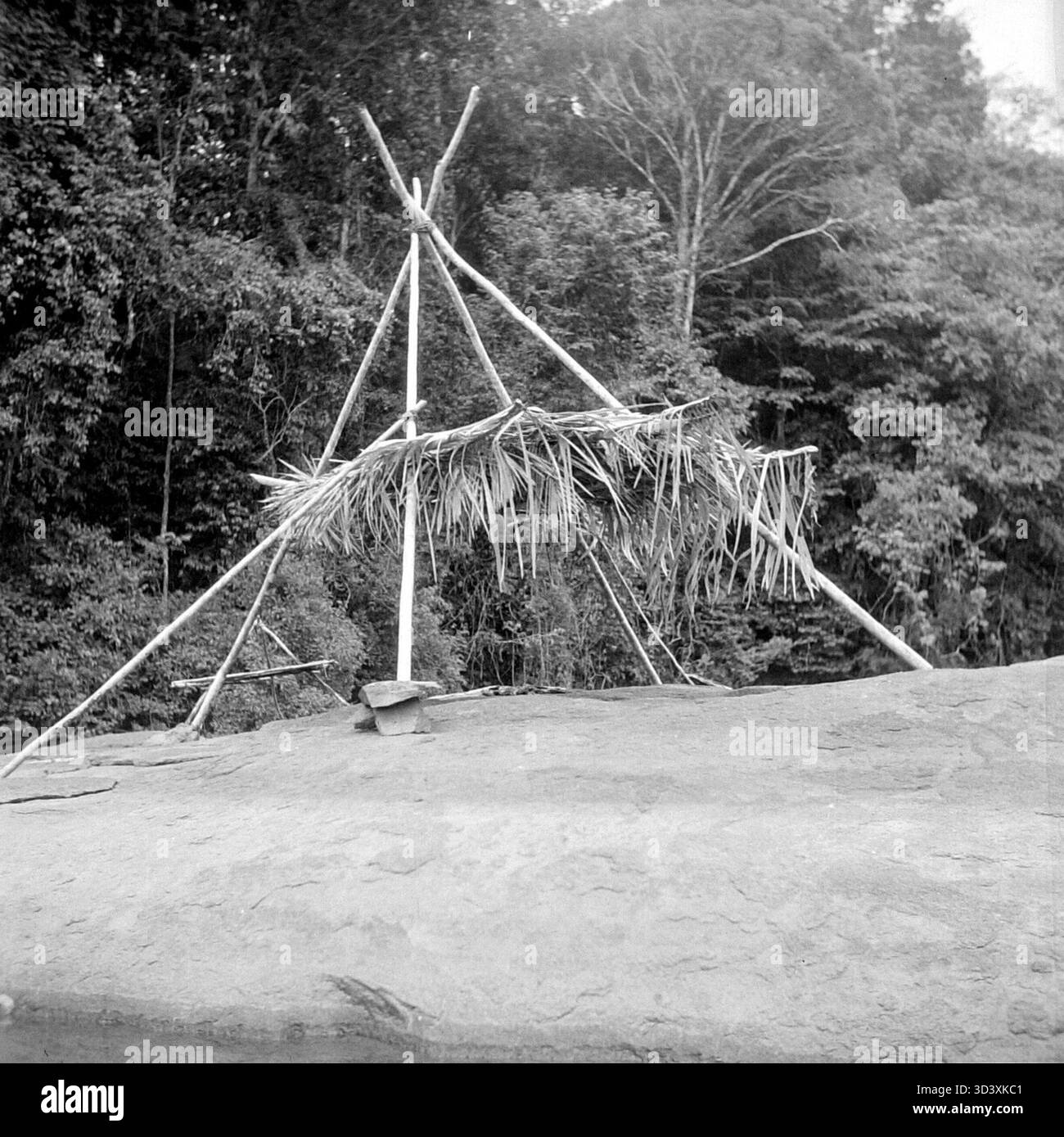 This 1936-1937 photograph shows an abandoned Indigenous hunting camp in ...