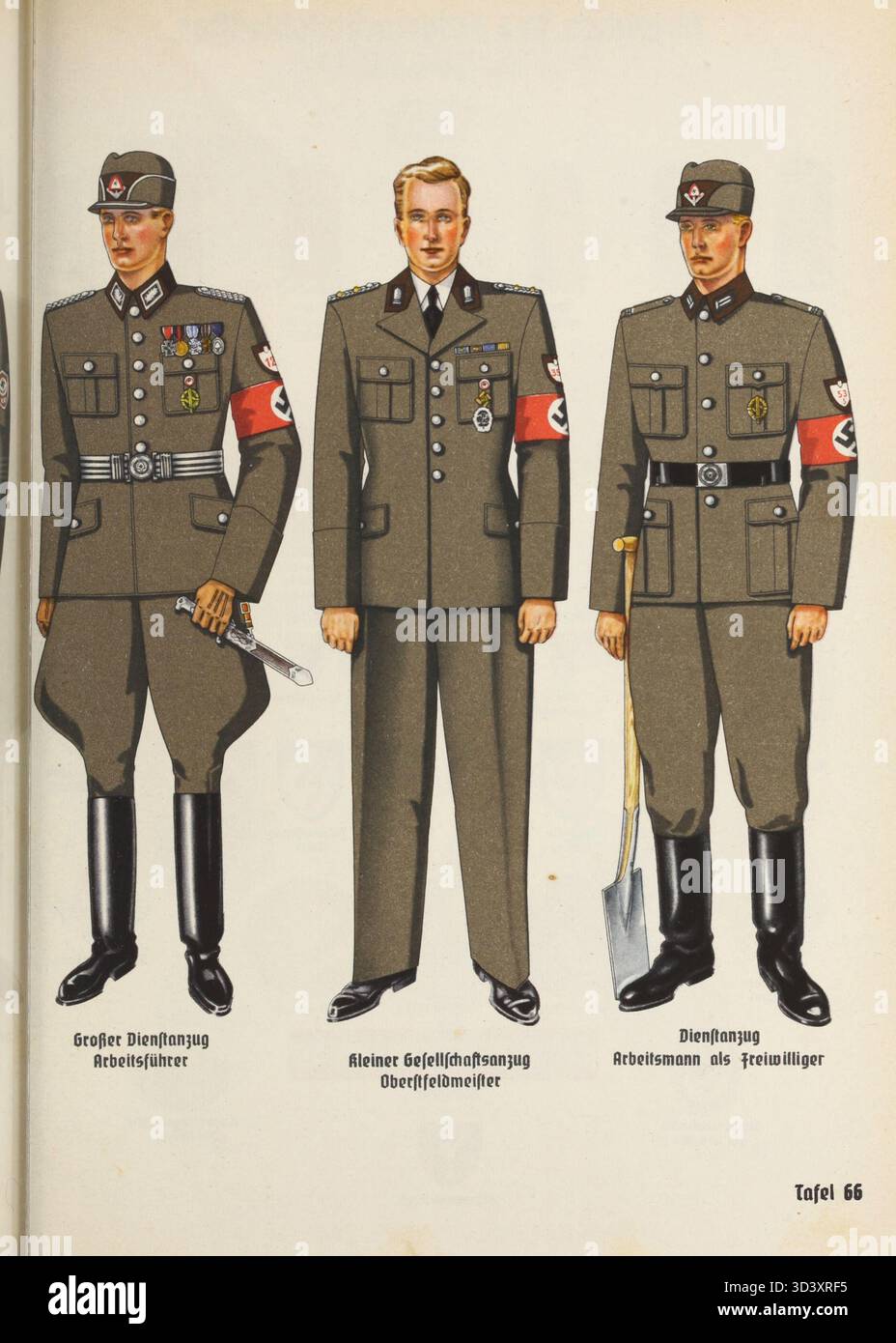 Illustration from the 1943 edition of the *Organisationsbuch der NSDAP ...