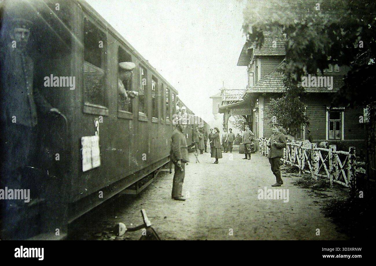 This photograph from 1915 shows the train station at Saldutikis in ...