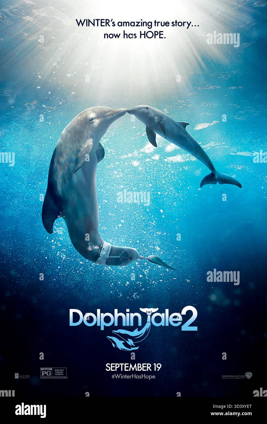 Dolphin Tale 2 (2014) directed by Charles Martin Smith and starring ...