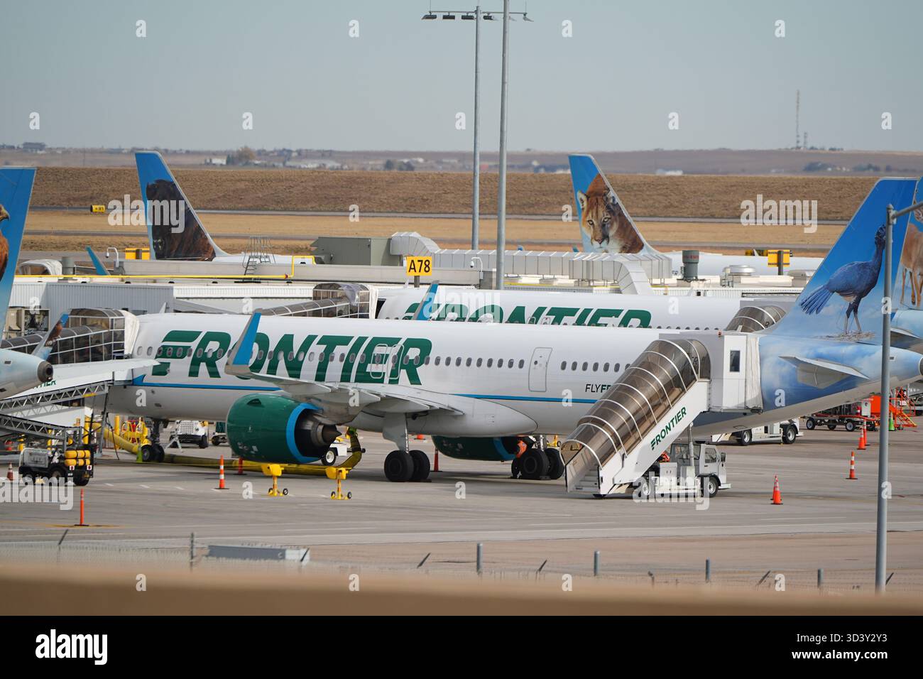 Frontier Airlines jetliners sit in a group outside the A concourse at ...