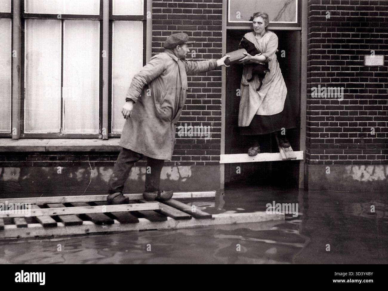 Woman cat in arms stands hi-res stock photography and images - Alamy