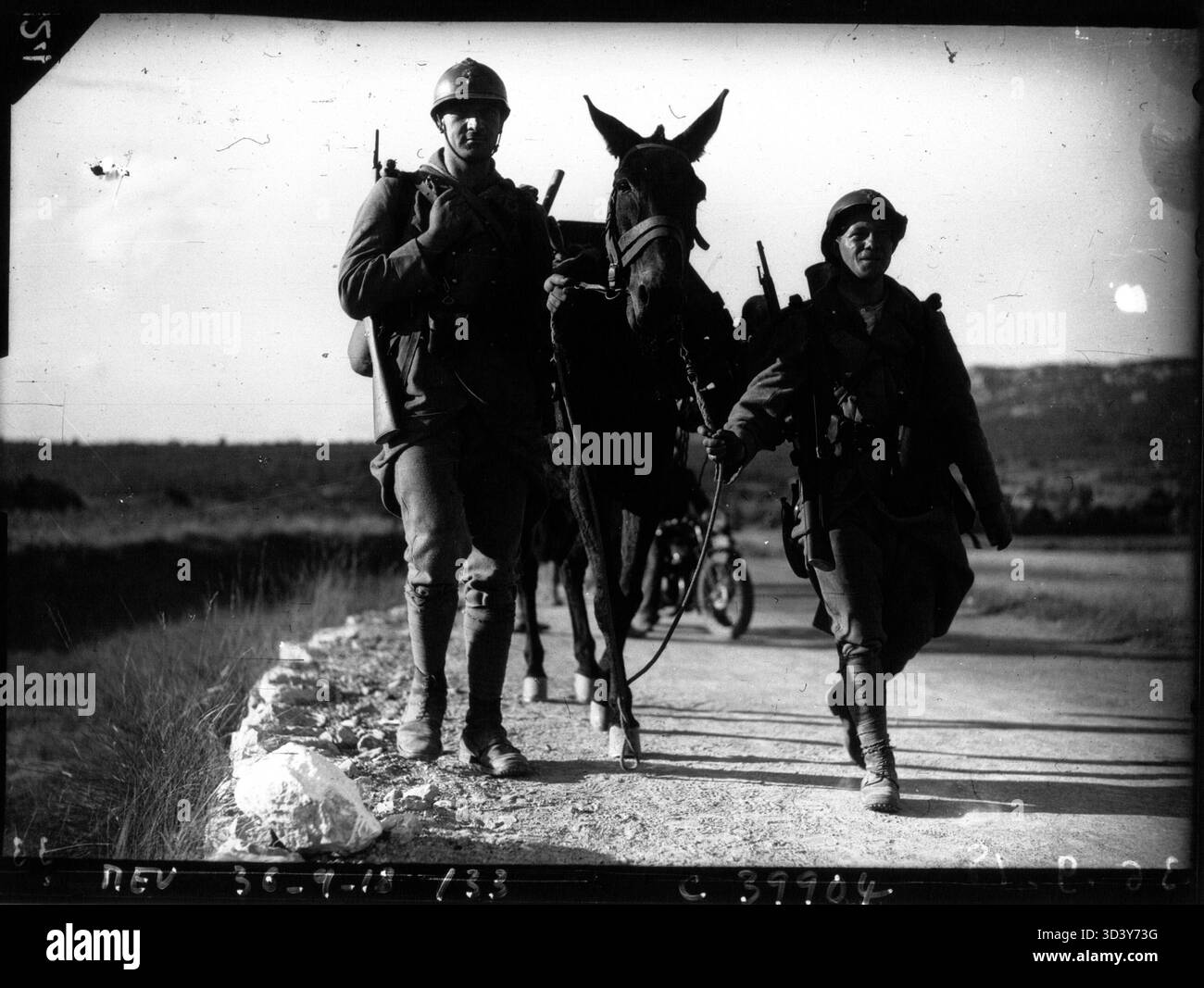 Photograph from the 1936 South-East maneuvers, showing a mule, an ...