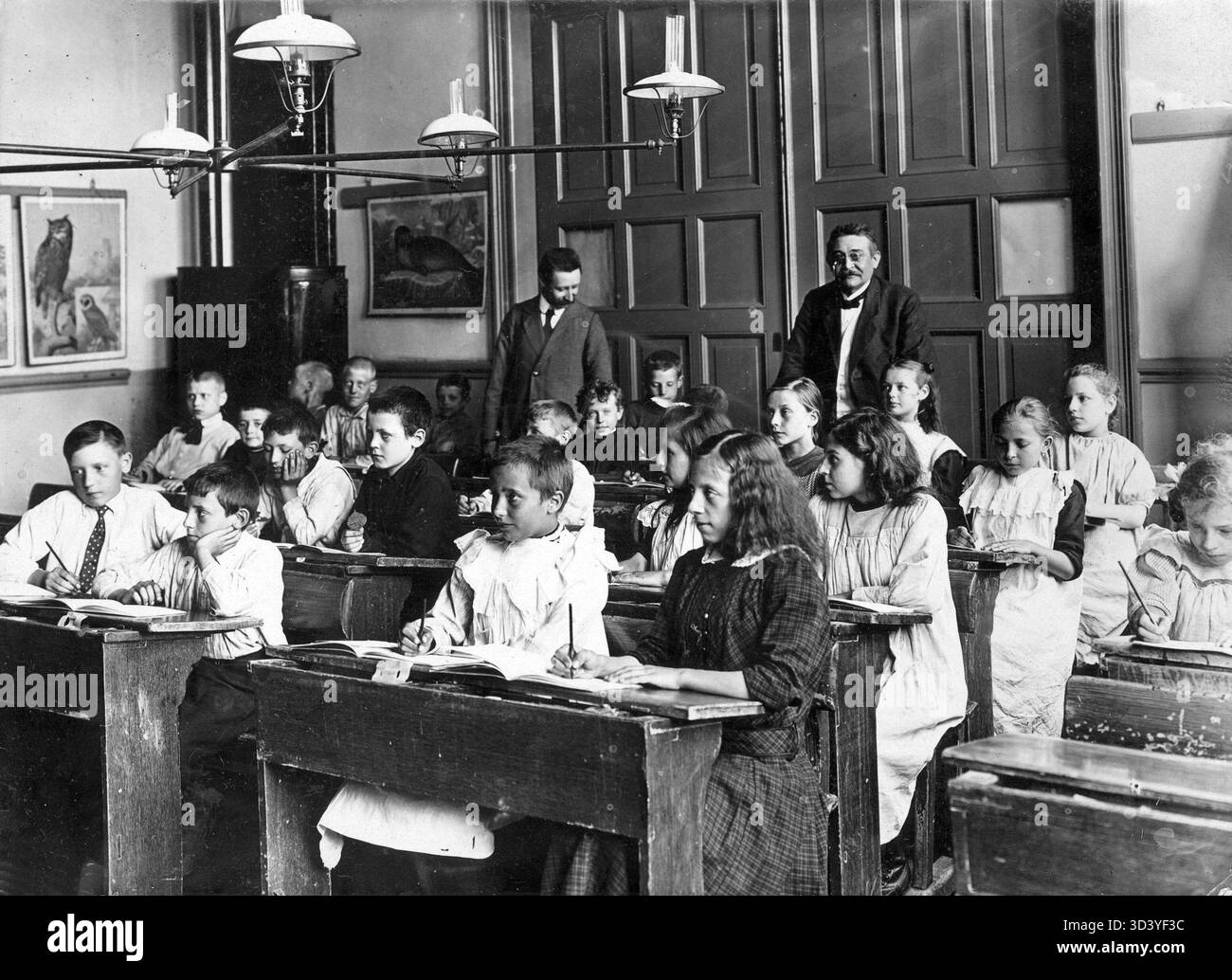 A mixed school class on their last day, too busy to look at the ...