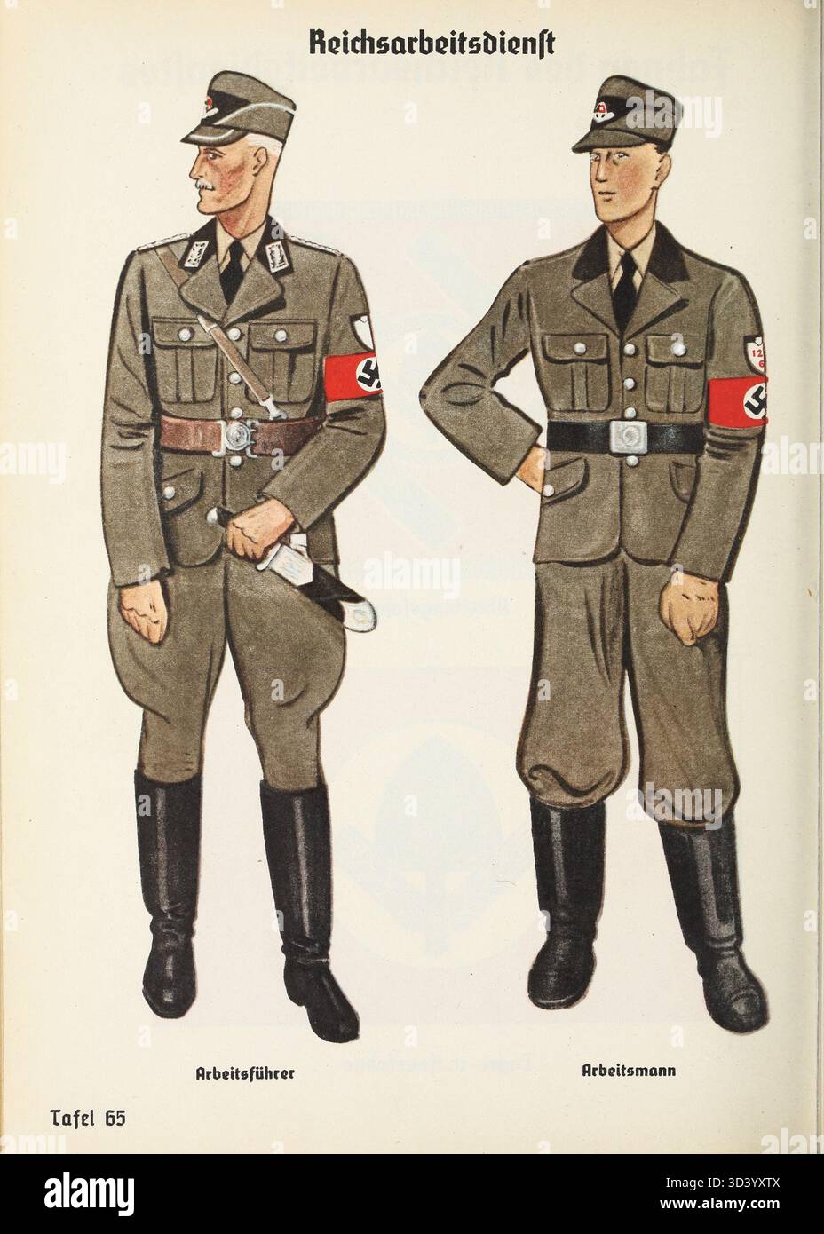 An illustration from the 1936 NSDAP Organization Book depicting the ...
