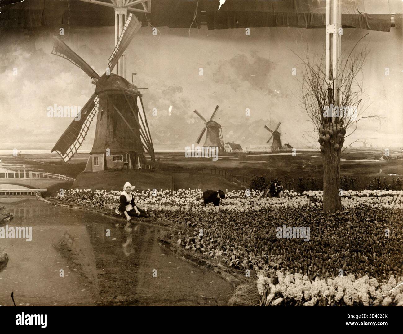 The Dutch section of a flower exhibition in London, featuring a real ...