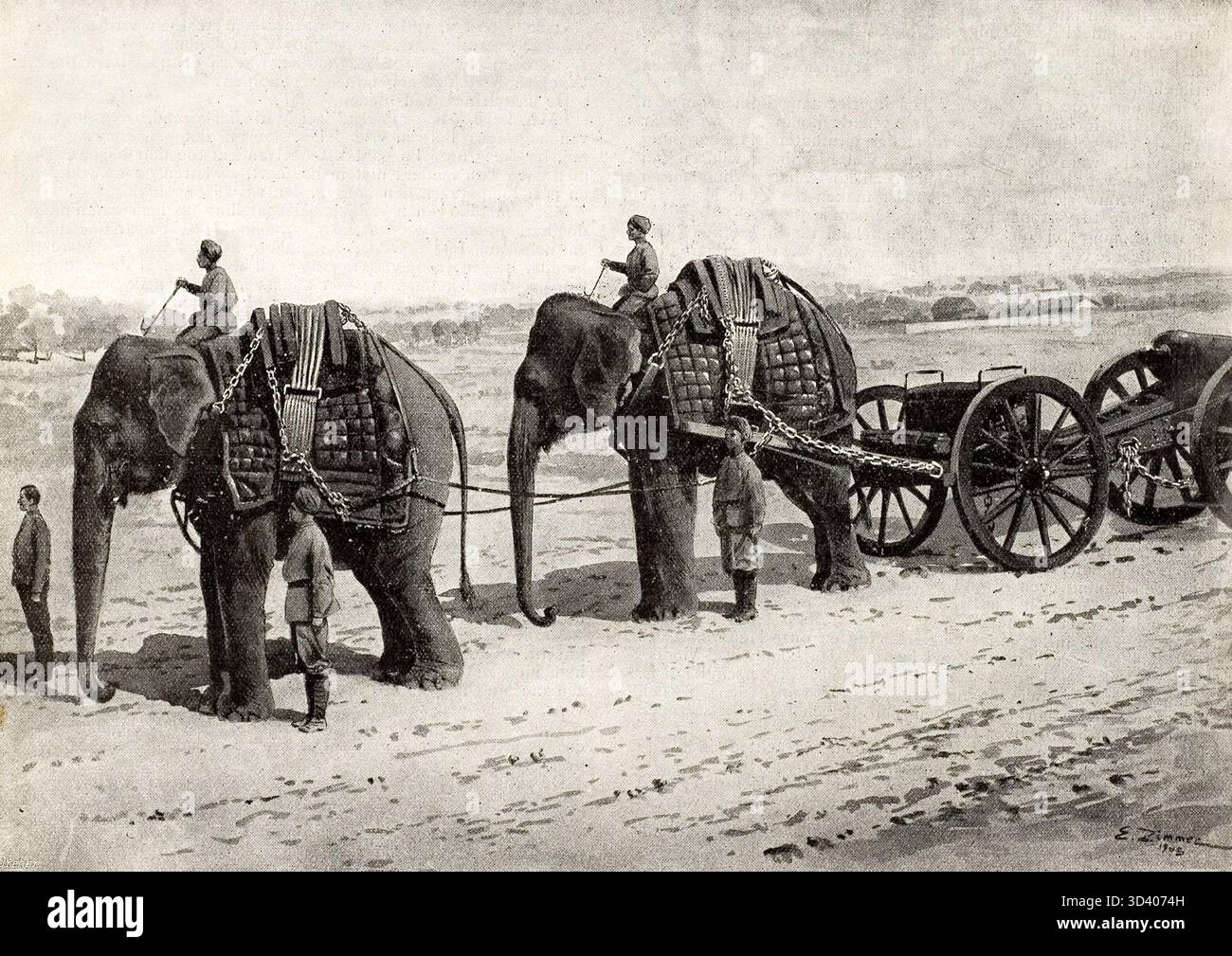 This 1909 photo shows elephants in service with the British Indian Army ...