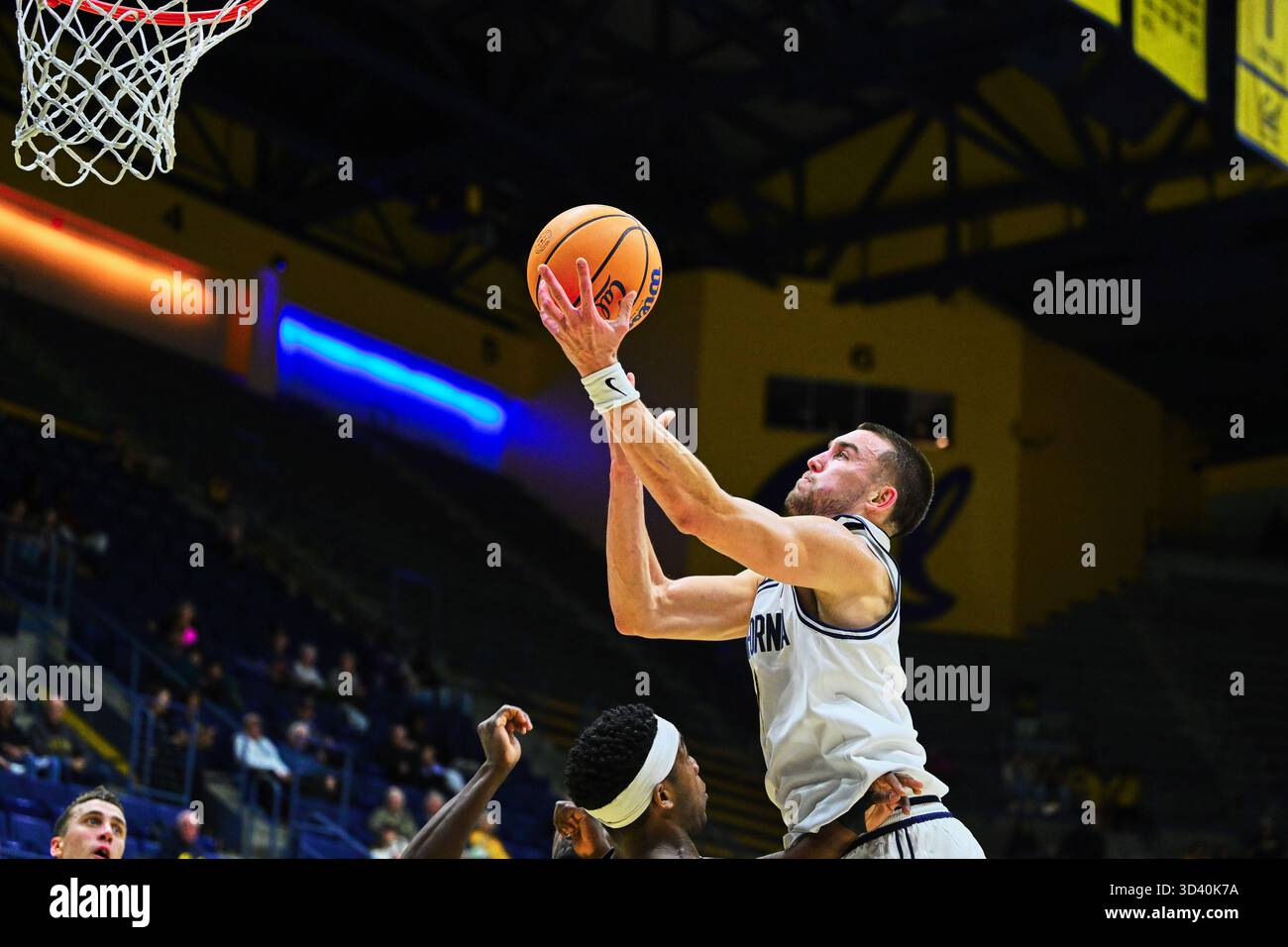 BERKELEY, CA - NOVEMBER 06: California Golden Bears forward John Camden ...