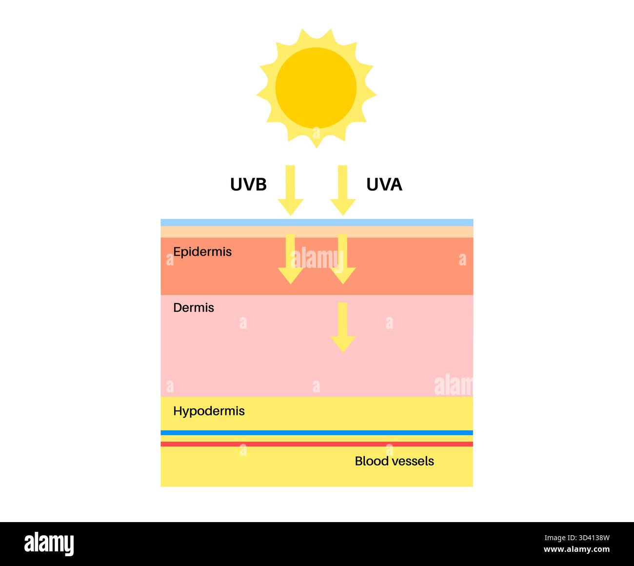 Uv radiation diagram hi-res stock photography and images - Alamy