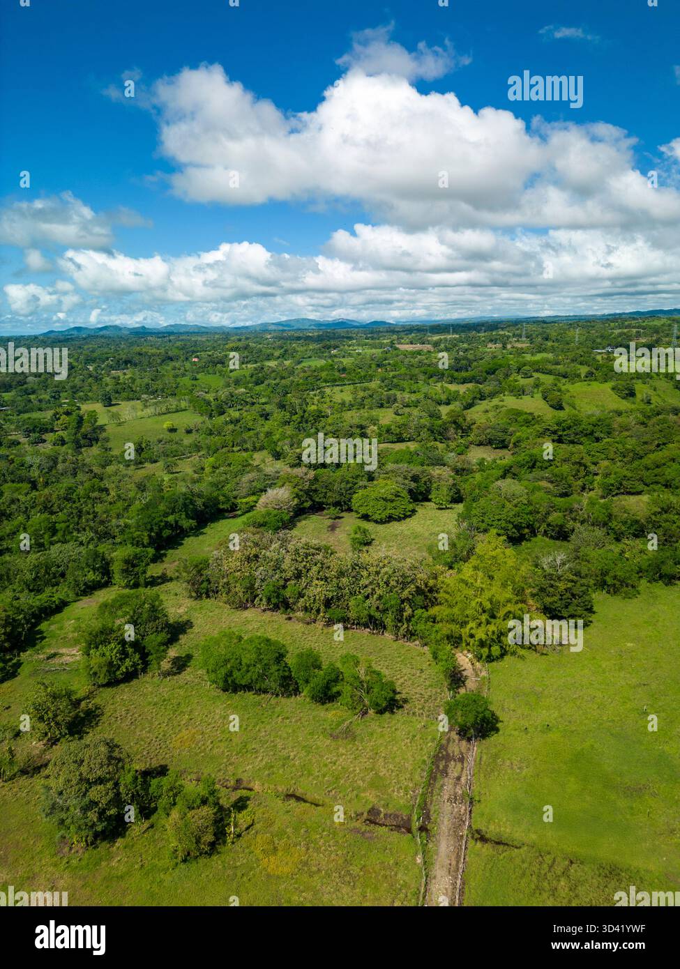 Aerial view of a beef cattle farm on sustainable mountain farm in ...