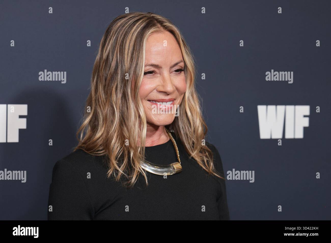 Maria Bello, wearing Max Mara, attends the 2025 WIF Honors Presented By ...