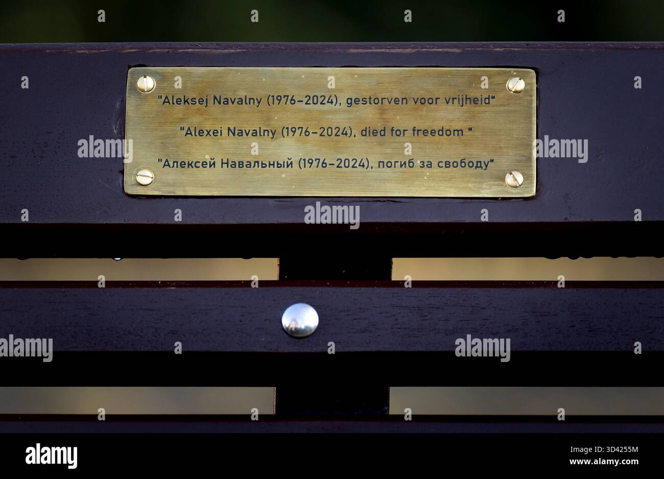 THE HAGUE – The unveiling of a memorial plaque for the late Russian ...