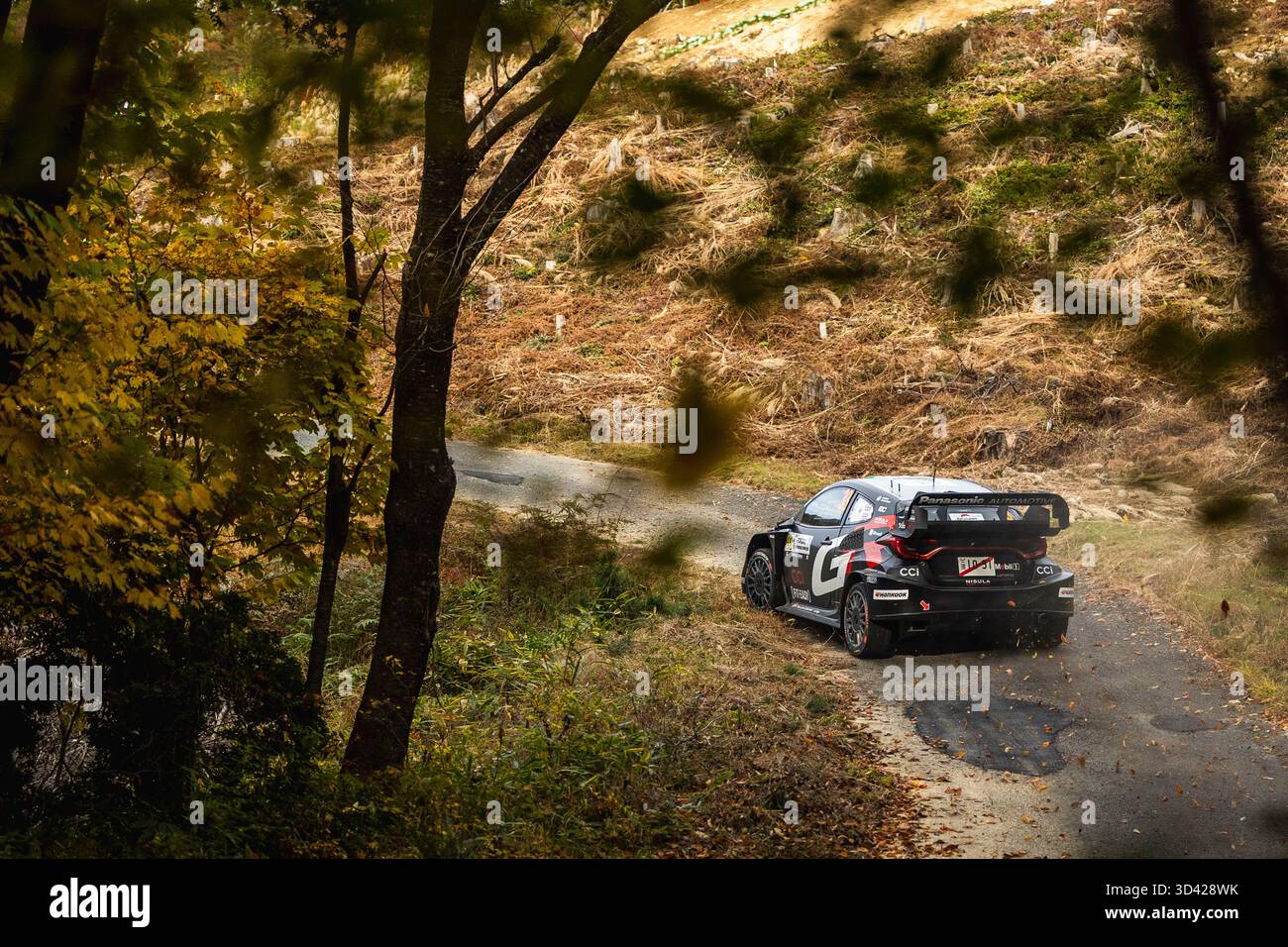 33 Elfyn EVANS, Scott MARTIN, Toyota GR Yaris Rally1, action during the ...