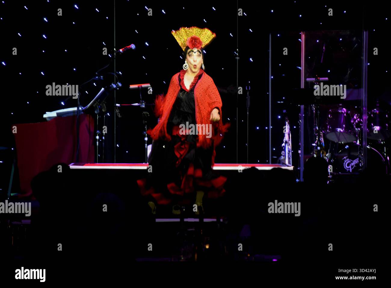 Hullis Dinner Show Kuenstlerin Muenchen 06.11.2025 Messe Muenchen -Ost ...