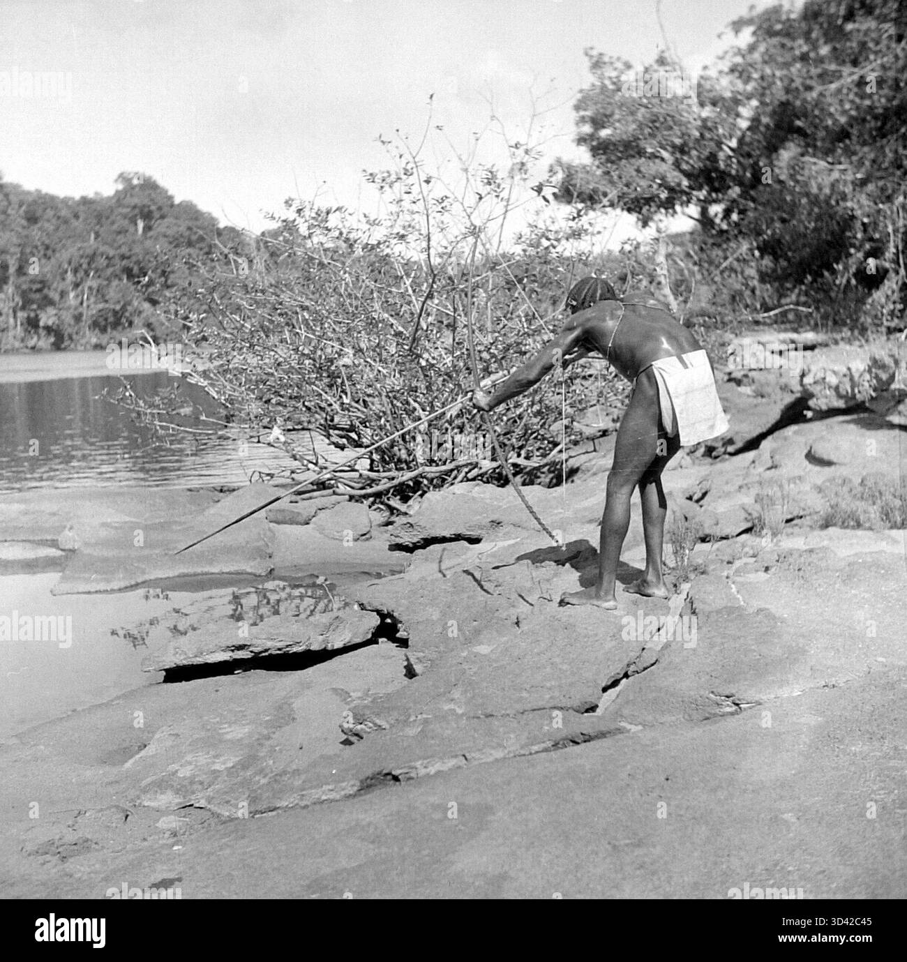 This image, taken between 1936 and 1937, shows a Megason fish shoot at ...