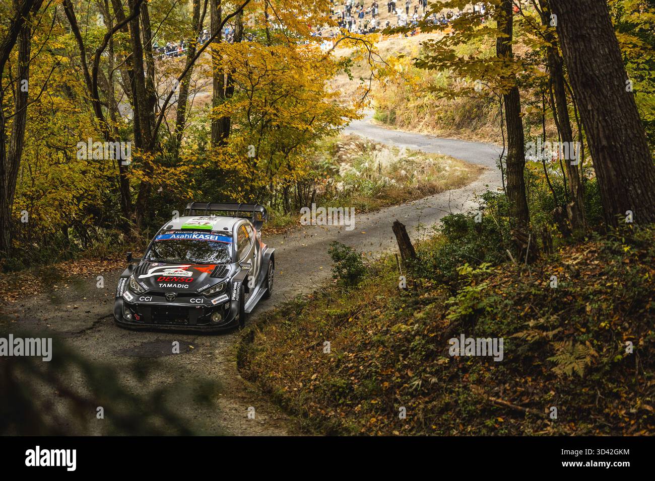 33 Elfyn EVANS, Scott MARTIN, Toyota GR Yaris Rally1, action during the ...