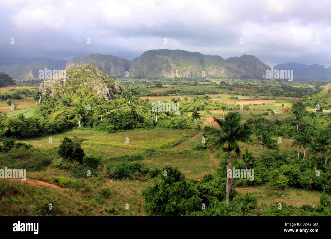 Lush Tropical Landscape of Viñales Valley with Imposing Mogotes ...
