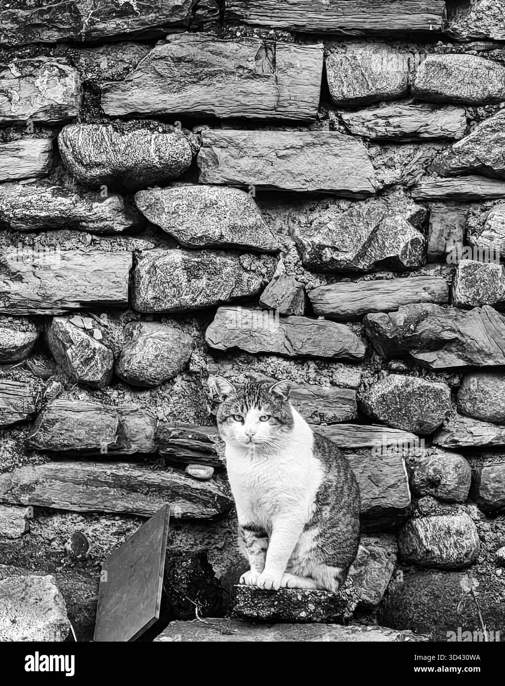 Real life expression Black and White Stock Photos & Images - Alamy