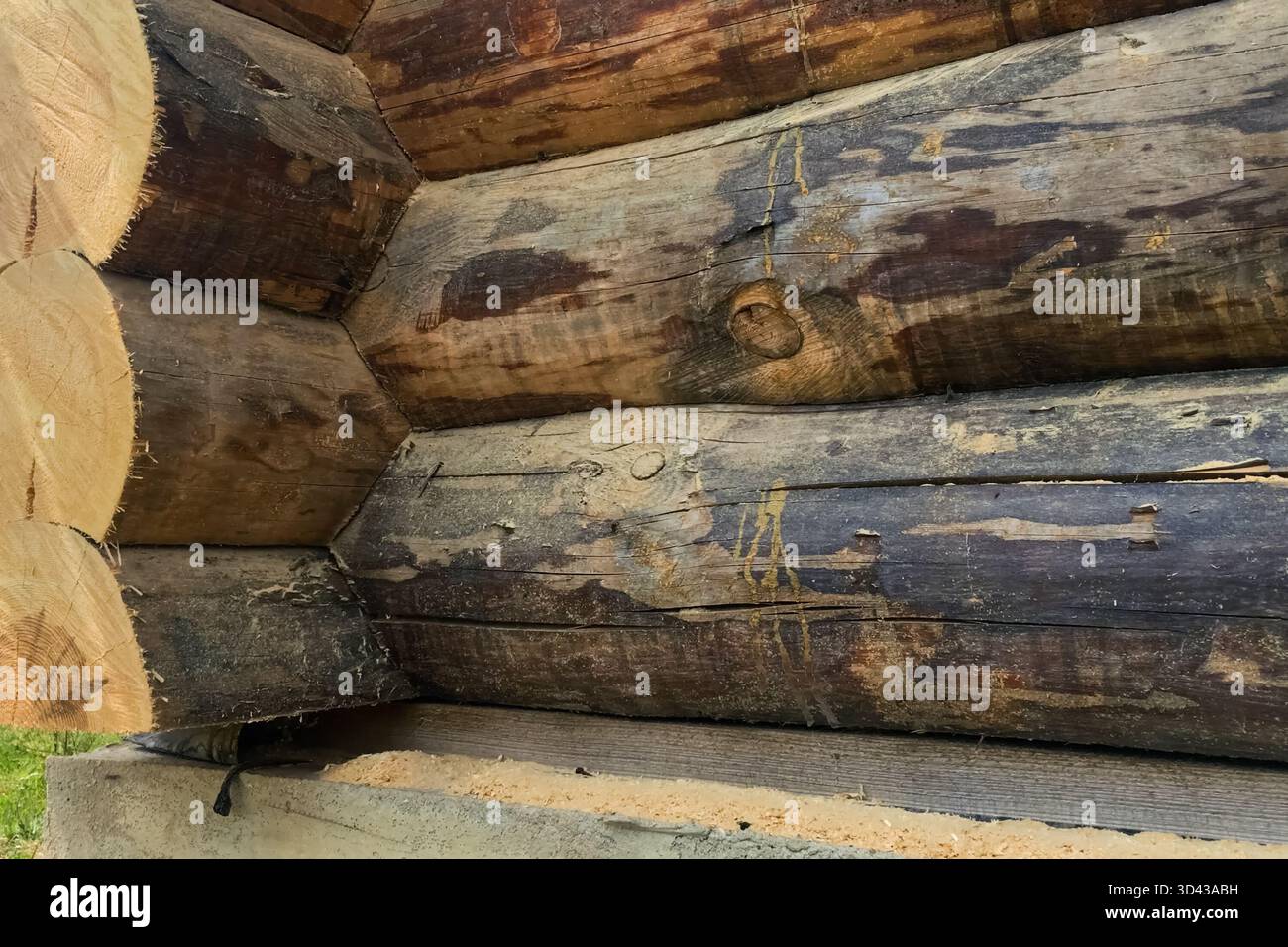 Carpenter cleaning wooden plank from hi-res stock photography and ...