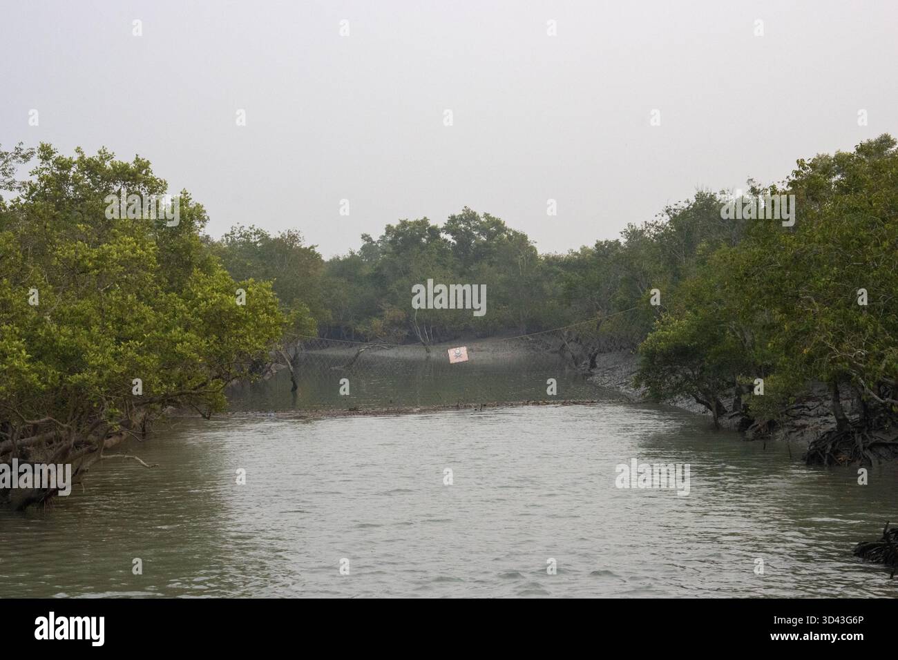 warning sign in the mangrove forest and nylon net fencing to keep Tiger ...