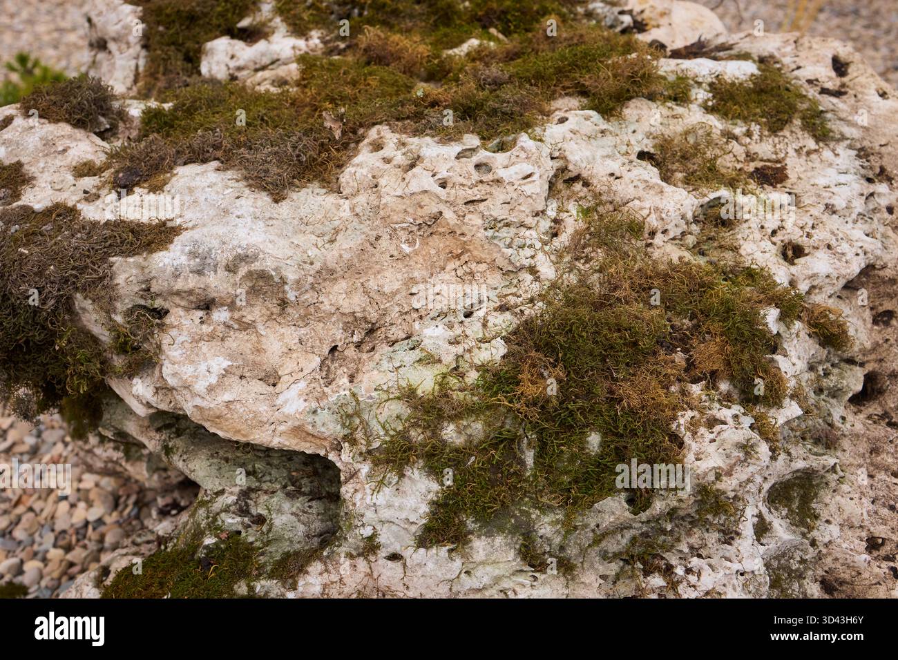 Natural stone textures displayed uniquely, Detailed display ...