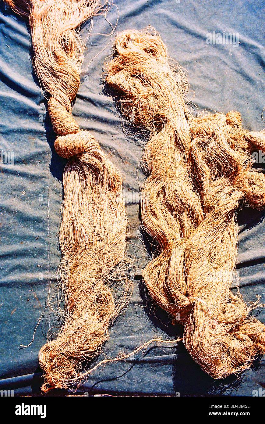 Raw hemp fibers for sale at an outdoor market, sunny analog atmosphere ...