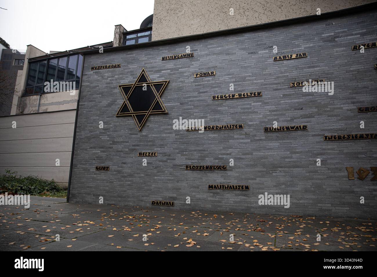 Berlin, Berlin, Germany. 8th Nov, 2025. On a gray autumn Saturday ...