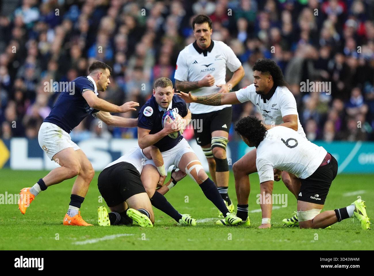 Scotland's Finn Russell is challenged by New Zealand's Fabian Holland ...