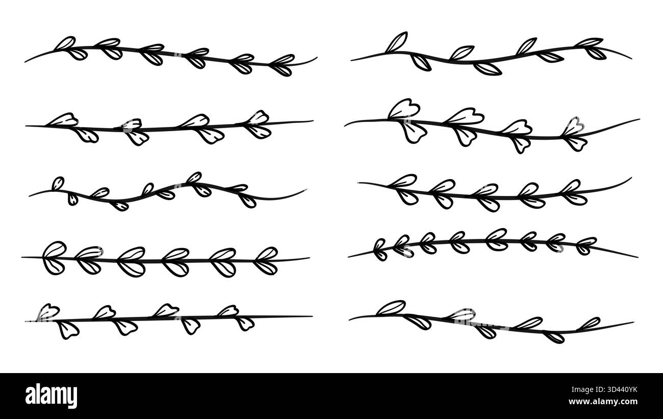 Divider leaves Black and White Stock Photos & Images - Alamy