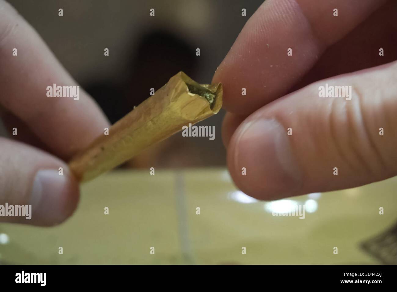 Make a cigar from marijuana. Hemp in smoking paper Stock Photo - Alamy