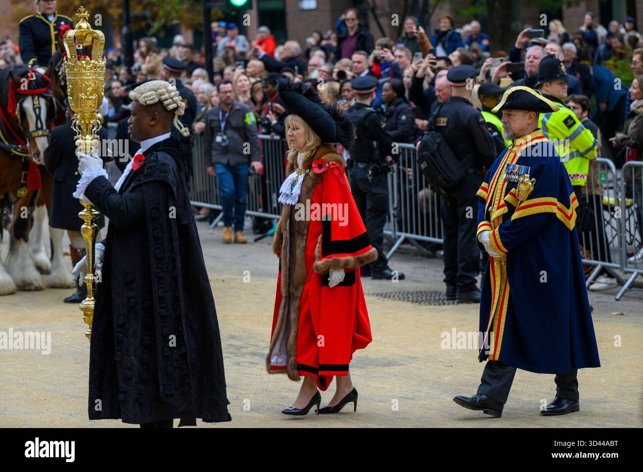 08/11/2025. London, UK Alderwoman Dame Susan Langley DBE take part in ...