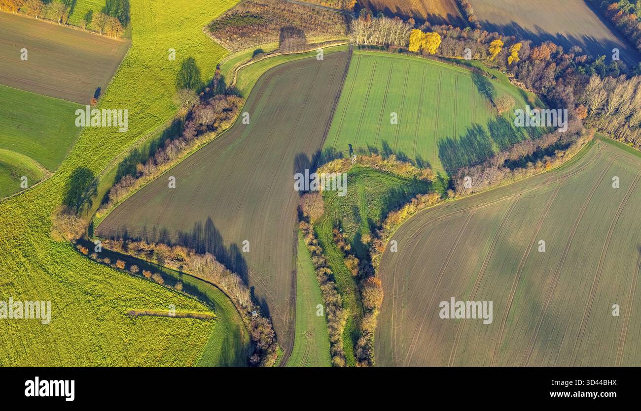 Aerial view, green meadows and fields, head shape, former river arm ...