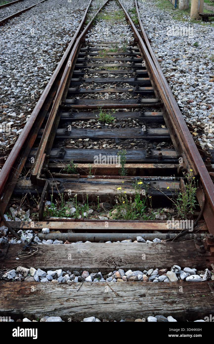 Old railway tracks - Forgotten railroad tracks Stock Photo - Alamy