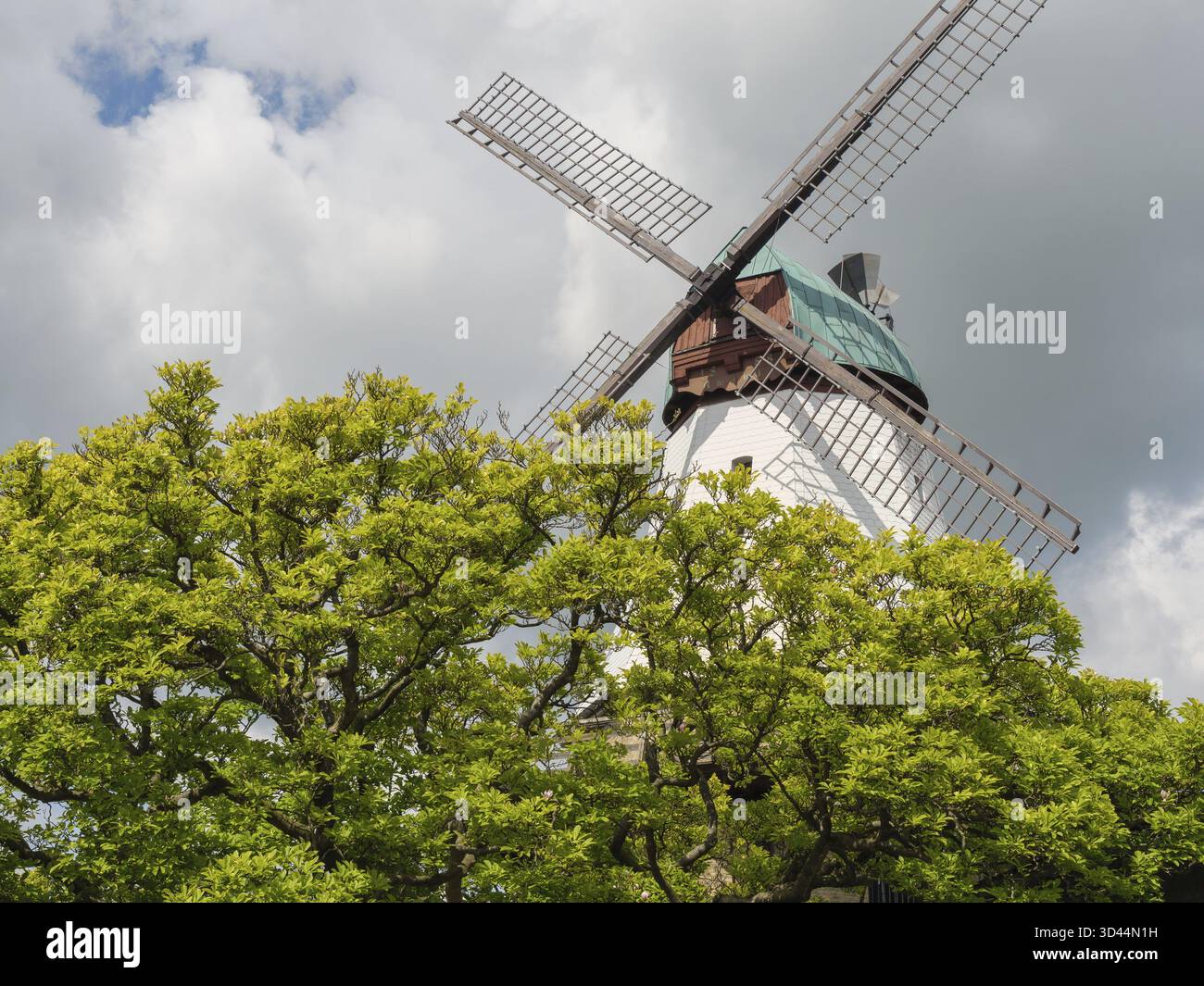 Windmill surrounded by trees, impressive sky, harmonious mix of nature ...