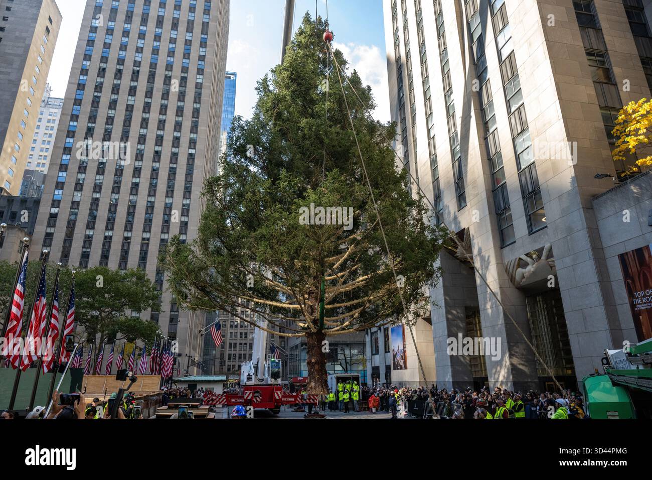 Photo by: NDZ/STAR MAX/IPx 2025 11/8/25 Workers install the Rockefeller ...