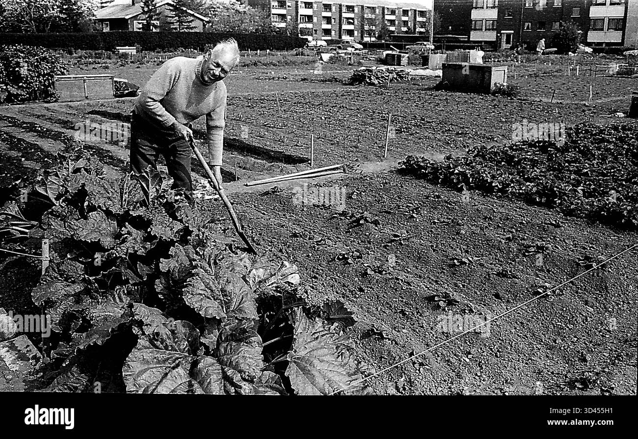Country and home gardening Black and White Stock Photos & Images - Alamy