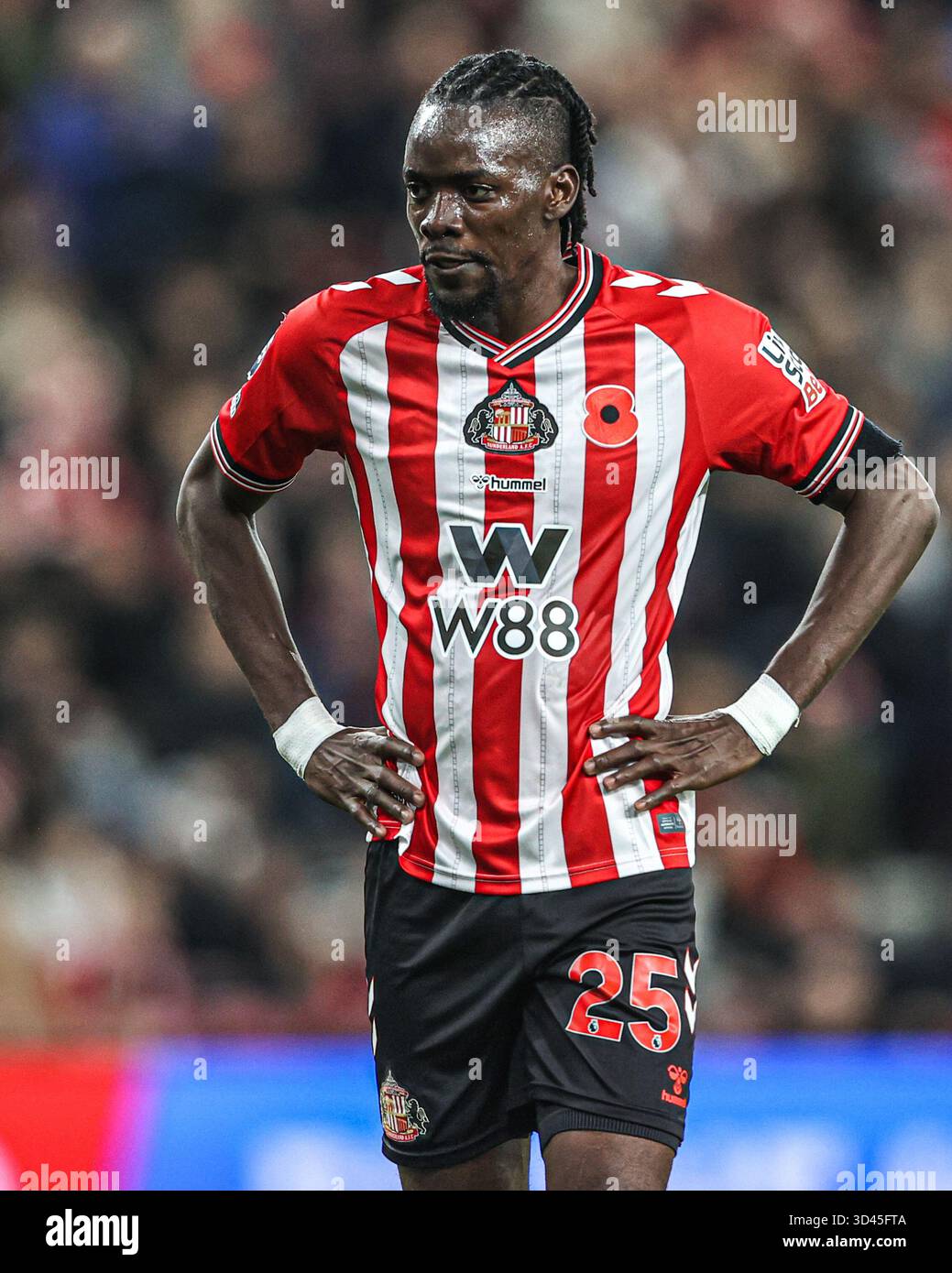 Nectarios Triantis of Sunderland during the Premier League match ...