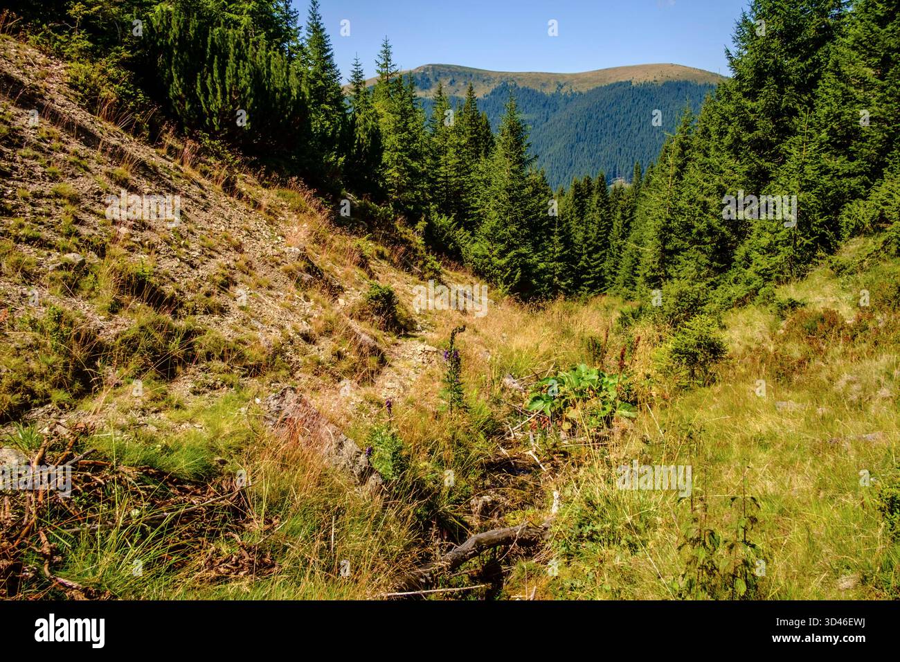 Blick in die bergige Landschaft transilvanischen Alpen . Siebenbürgen ...