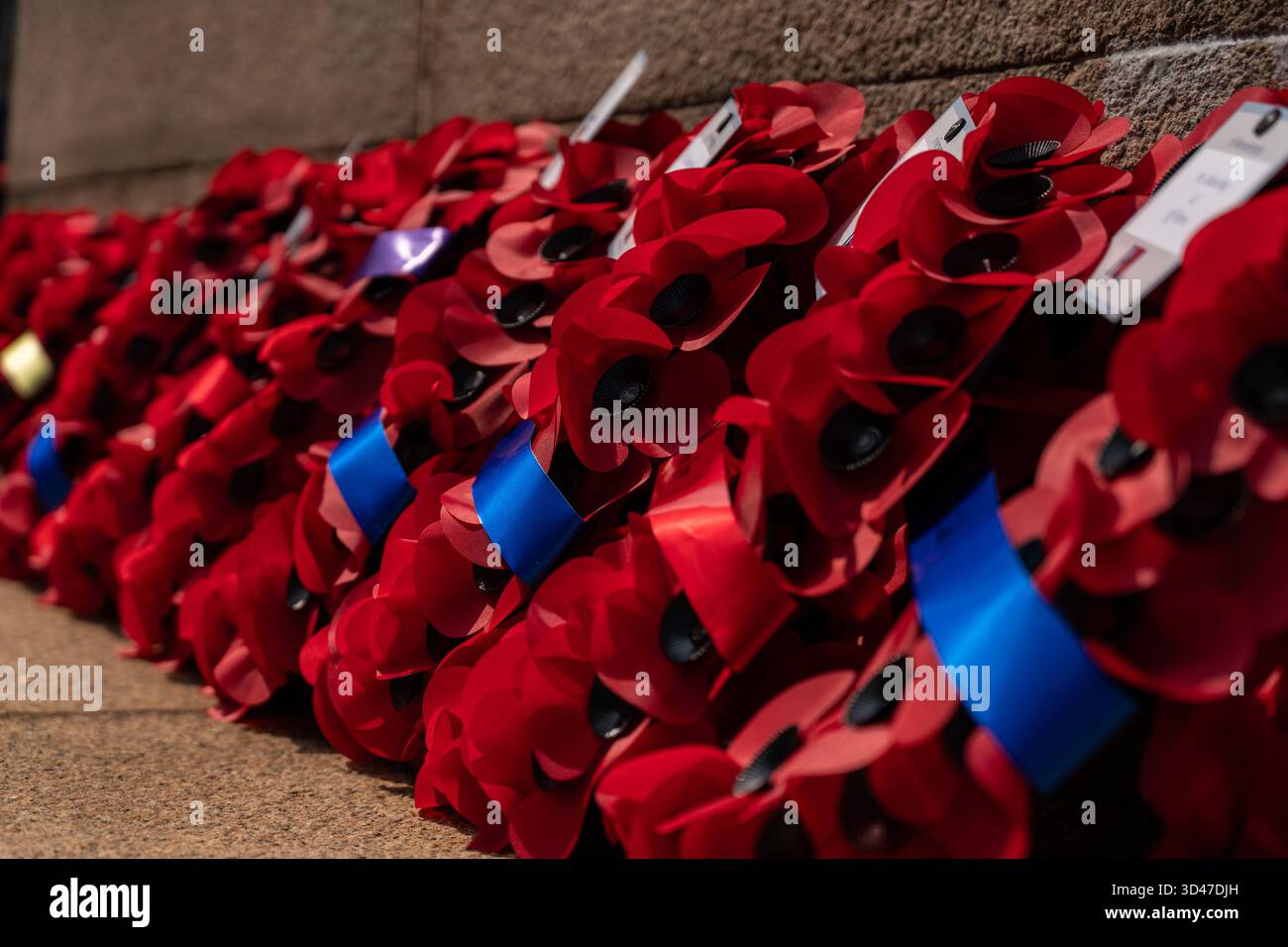 Remembrance flower circles at the Cenotaph during an event to mark ...