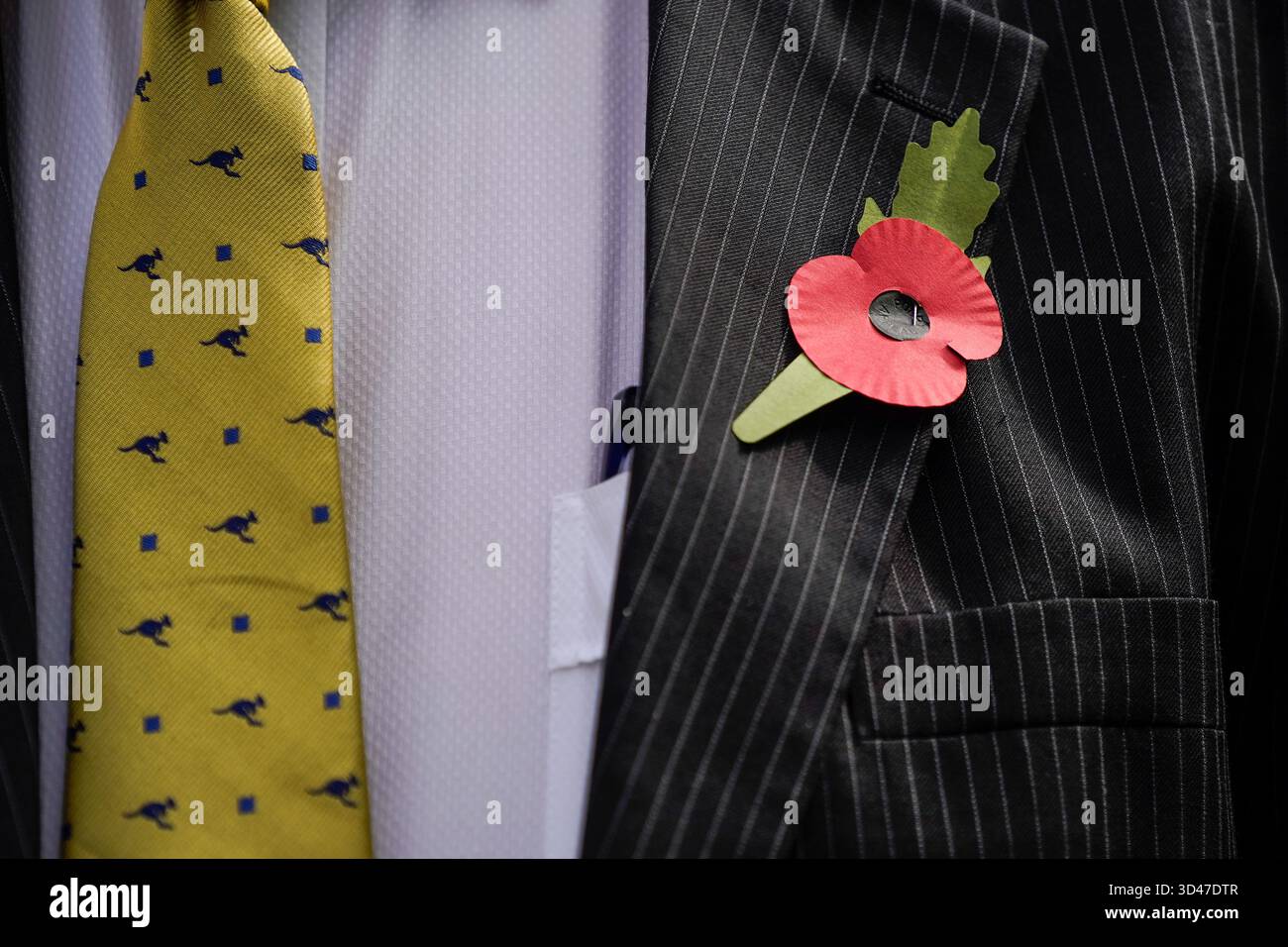 A man in a suit wearing a Remembrance Poppy at the Cenotaph during an ...