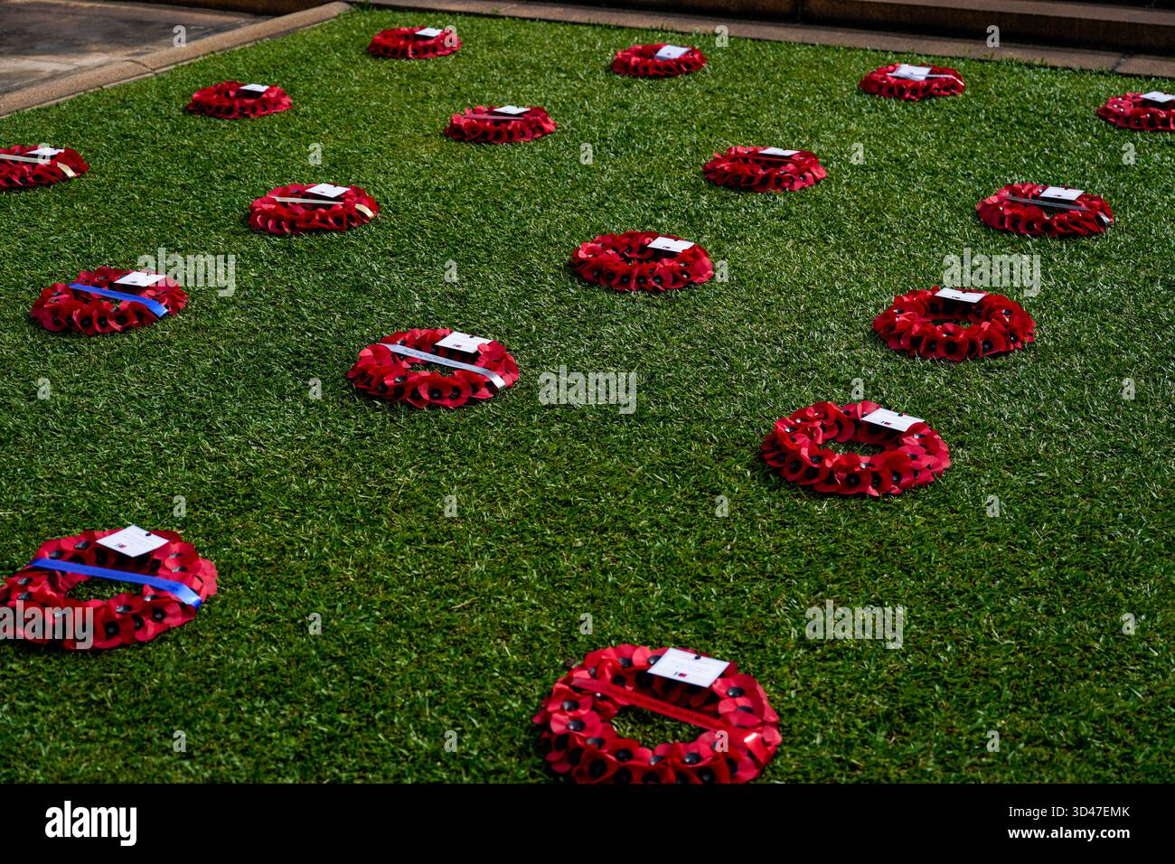 Remembrance Day flower circle placed on the grass at the Cenotaph ...