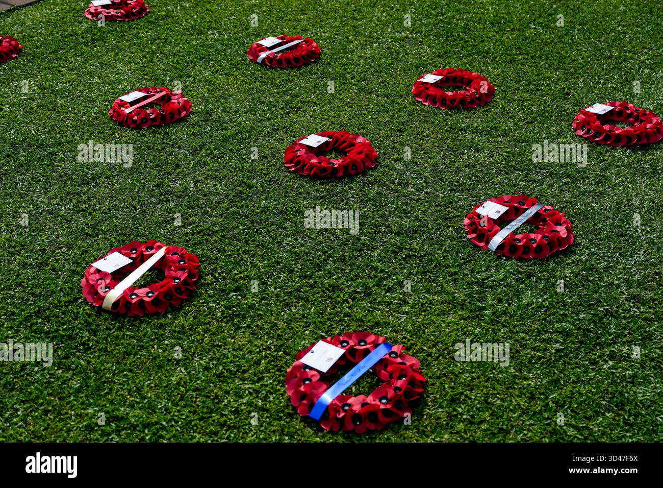 Remembrance Day flower circle placed on the grass at the Cenotaph ...