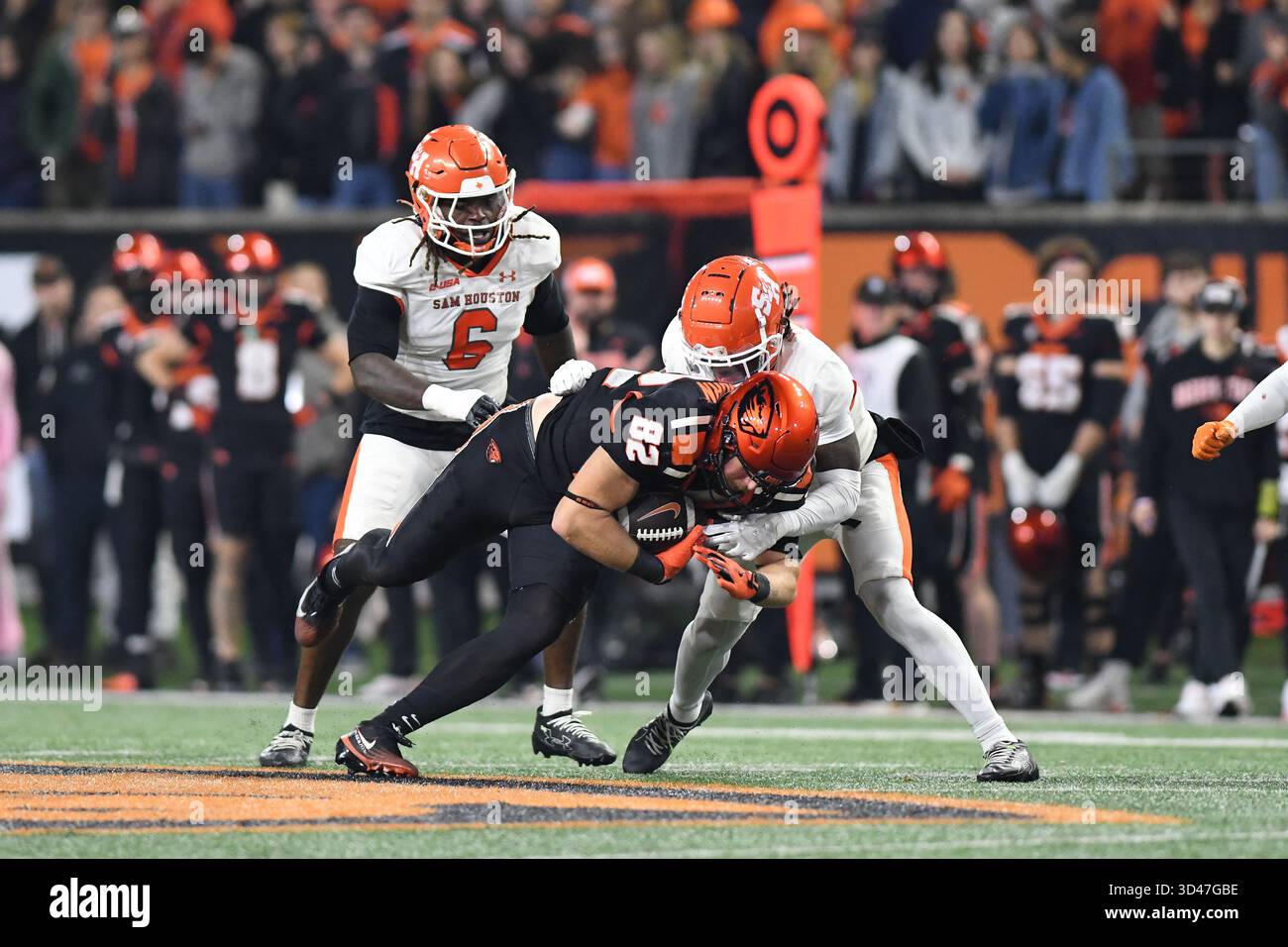 CORVALLIS, OR - NOVEMBER 08: Oregon State Beavers tight end Gabe ...