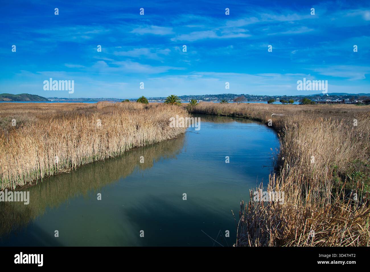 Sacramento san juaquin delta hi-res stock photography and images - Alamy