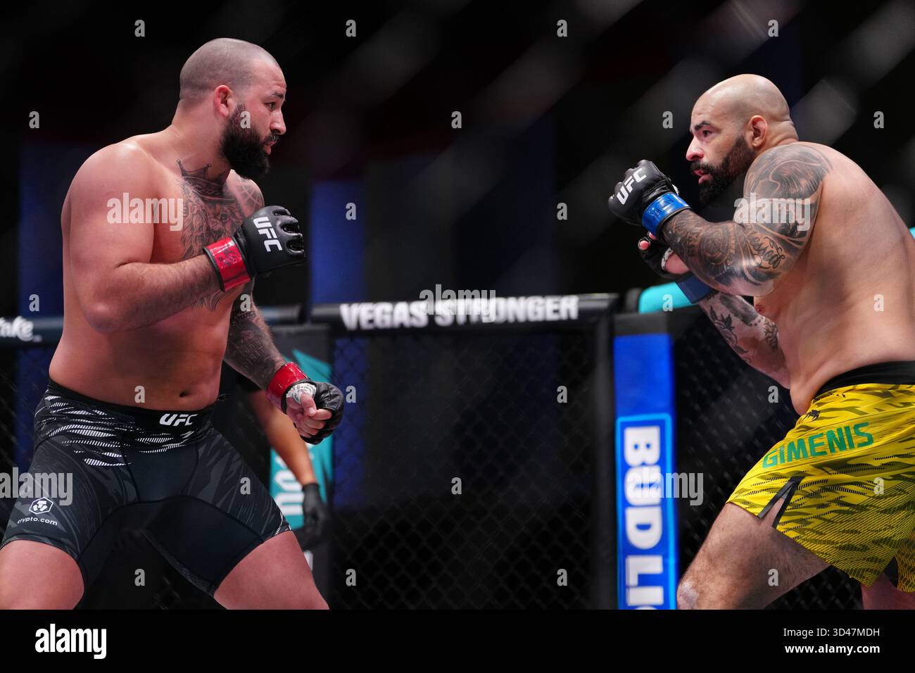 LAS VEGAS, NV - NOV 8: Josh Hokit and Max Gimenis meet in the octagon ...
