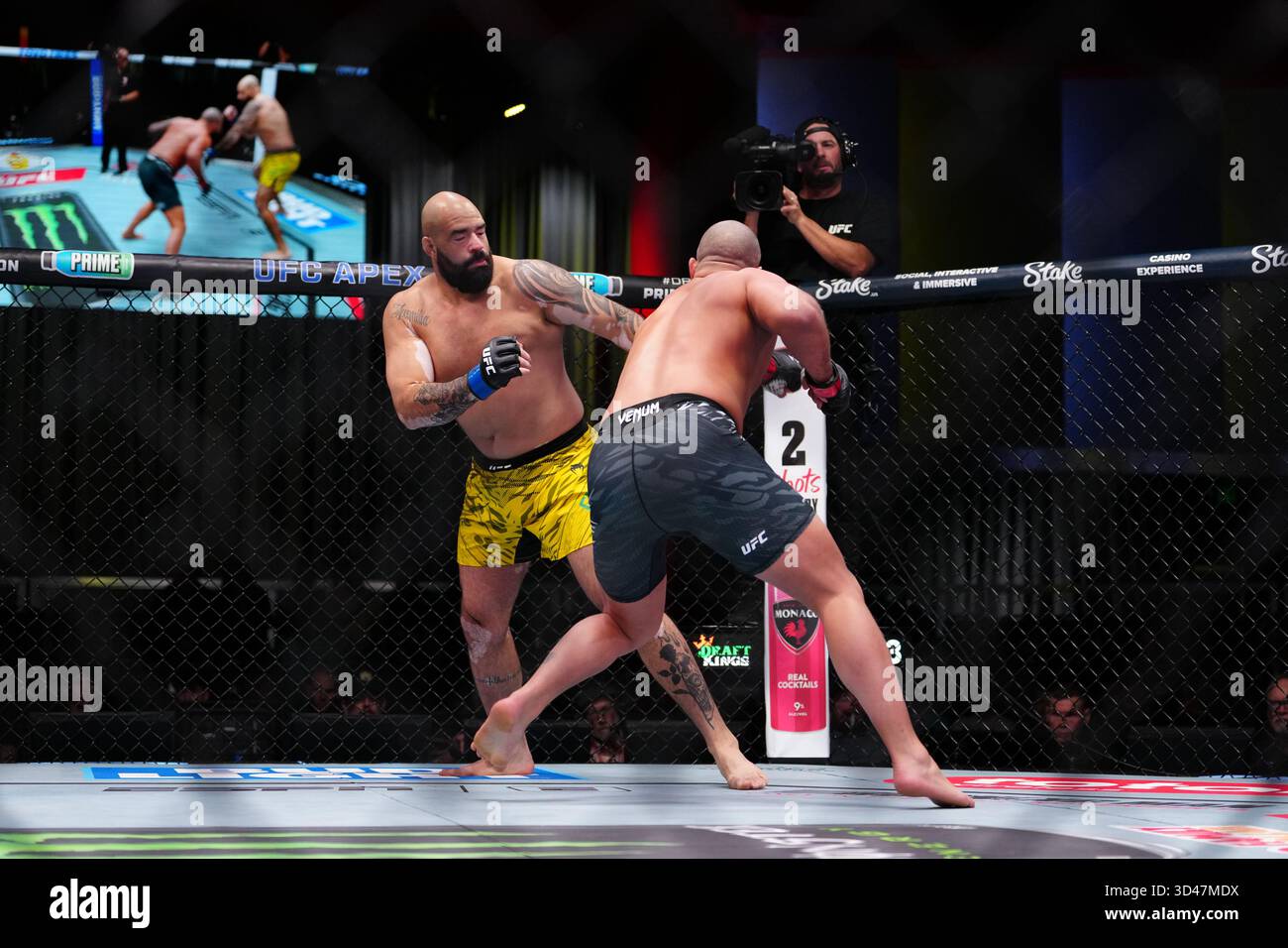 LAS VEGAS, NV - NOV 8: Josh Hokit and Max Gimenis meet in the octagon ...